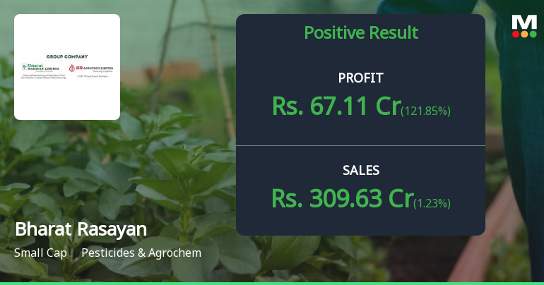 Bharat Rasayan Reports Strong Financial Performance in Q1 2024