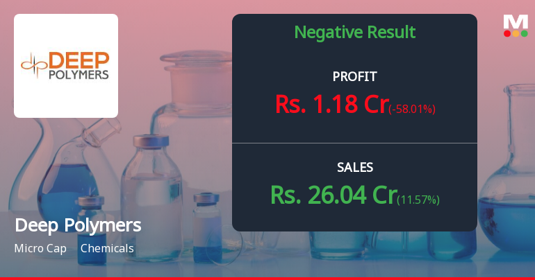 Deep Polymers Reports Negative Performance in Q1 2024 Financial Results