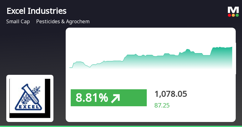 Excel Industries' Stock Price Surges, Outperforms Sector and Sensex on May 31st