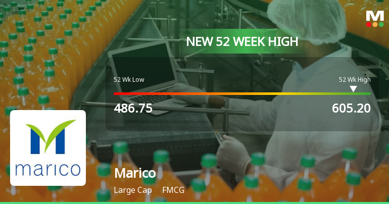 Marico Ltd. Hits 52-Week High, Continues to Outperform in FMCG Industry