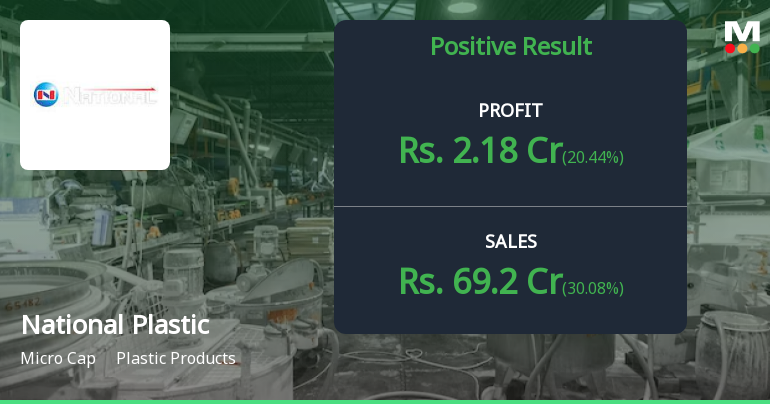 National Plastic Technologies Reports Positive Financial ...