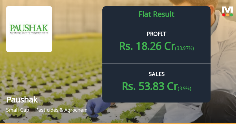 Paushak's Q1 2024 Financial Report Shows Mixed Performance, Revenue ...