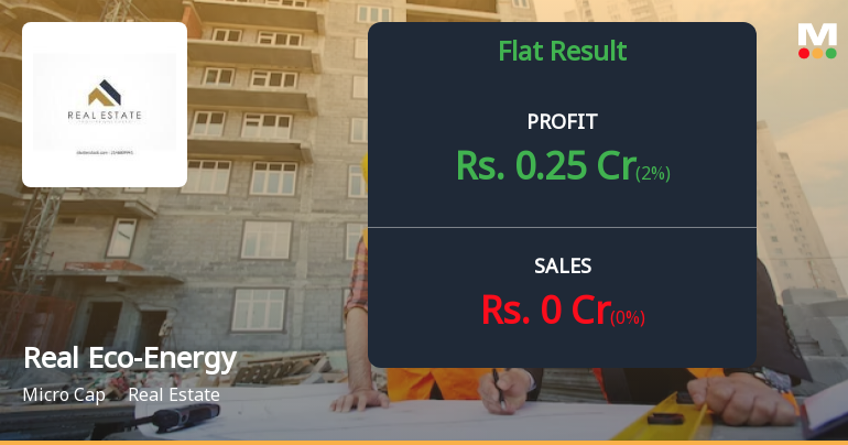 Real Eco-Energy's Q1 Financial Results Show Promising Signs for Future ...