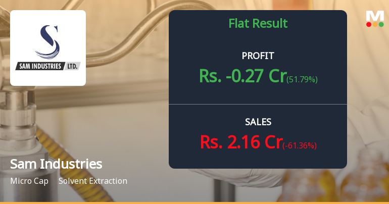 Sam Industries' Financial Report Shows Mixed Performance in Q1 2024