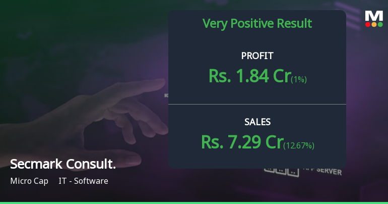Secmark Consultancy Reports Strong Financial Performance in Q1 2024