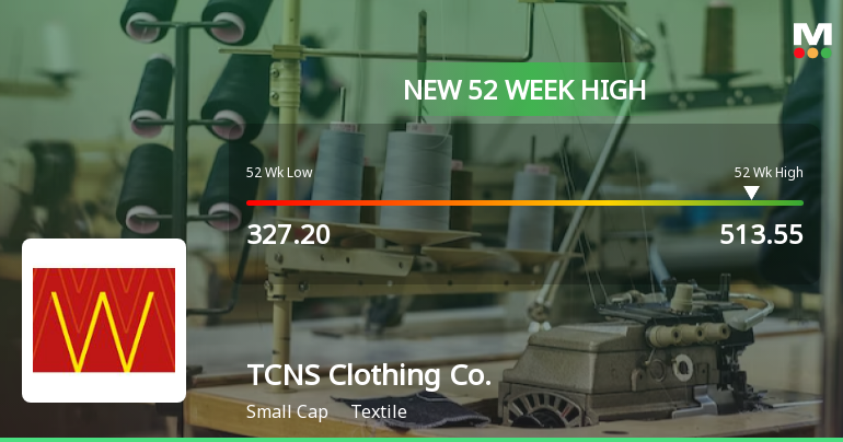 TCNS Clothing Co. Ltd's Stock Price Surges, Outperforms Sector and Sensex