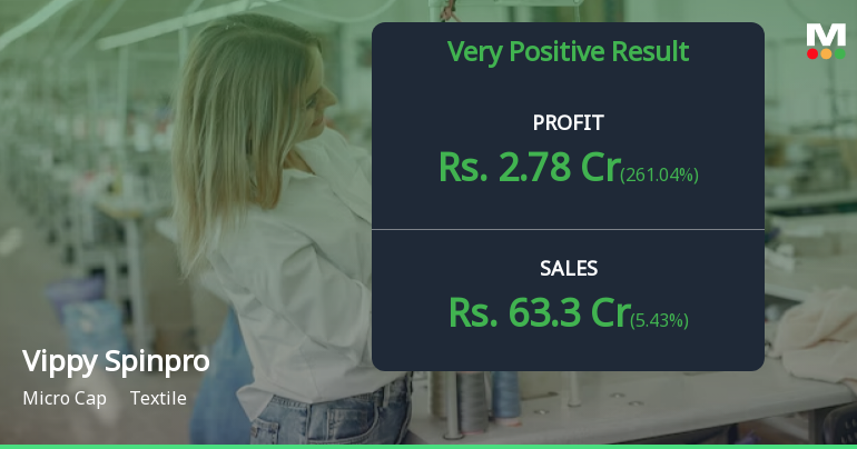 Vippy Spinpro's Q1 Financial Results Show Significant Growth Despite ...