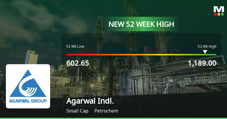 Agarwal Industrial Corporation Hits 52-Week High, Outperforms Sector ...