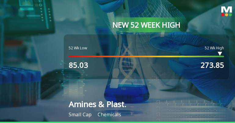Amines & Plasticizers Ltd Surges to New High, Outperforms Sector and Sensex
