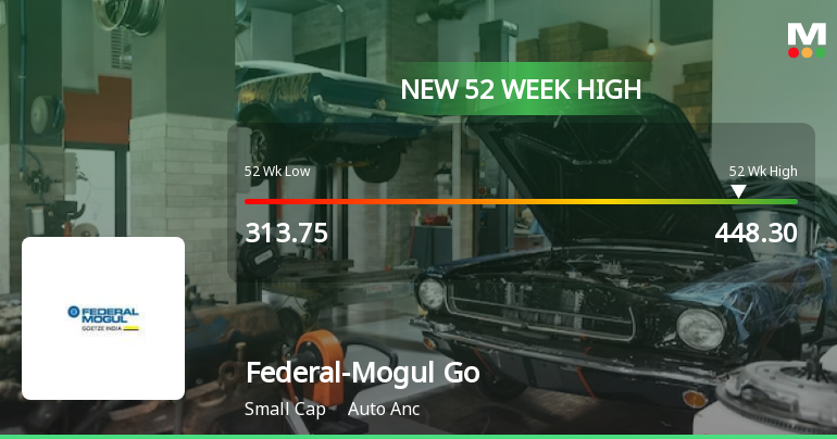 Federal-Mogul Goetze (India) Ltd: A Rising Star in the Auto Ancillary ...