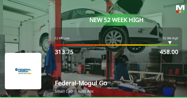 Federal-Mogul Goetze (India) Ltd's Stock Surges, Outperforms Sector and ...