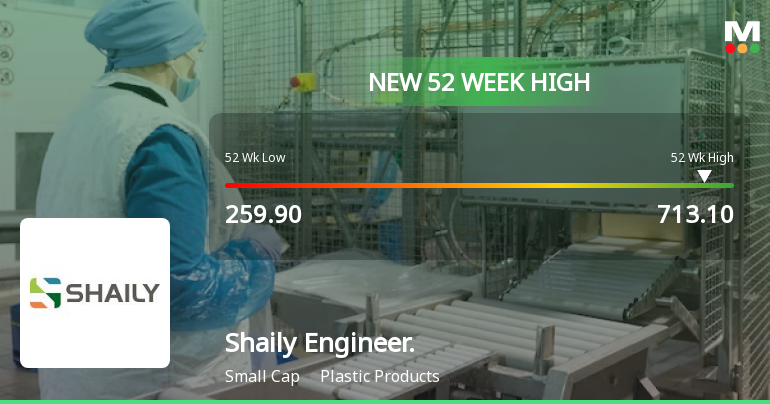 Shaily Engineering Plastics: A Rising Star in the Stock Market