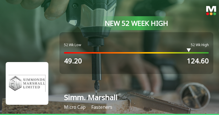 Simmonds Marshall Hits 52-Week High, Outperforms Sector and Sensex in ...