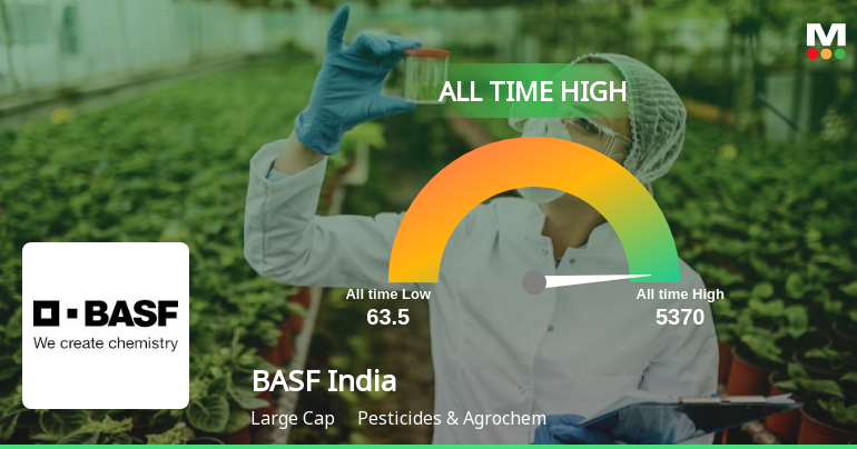 BASF India's Stock Reaches All-Time High, Showcasing Strong Growth and ...