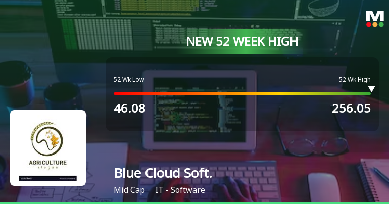 Blue Cloud Softech Solutions: A Promising Midcap IT Software Company with Impressive Performance