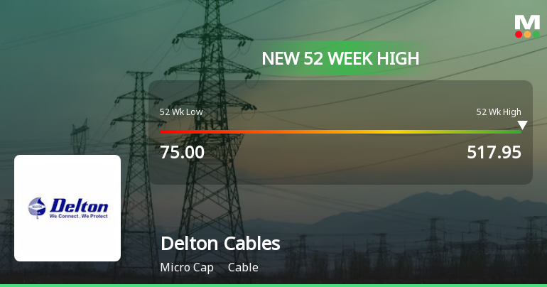 Delton Cables Hits 52-Week High, Outperforms Sector with Impressive Growth
