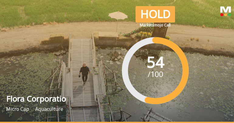 Flora Corporation Receives 'Hold' Rating from MarketsMOJO, Shows Positive Results in Recent Quarters