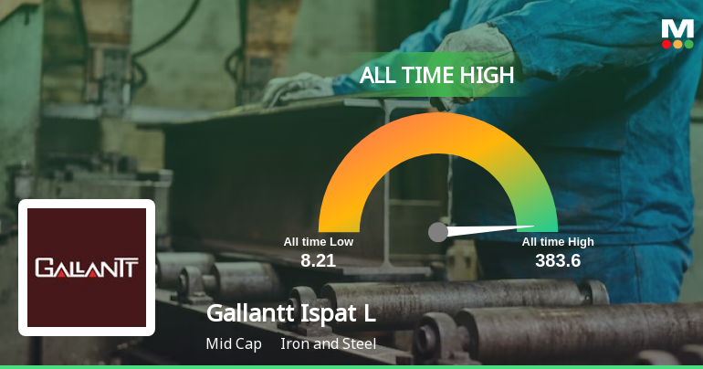 Gallantt Ispat Ltd. Reaches All-Time High Stock Price, Outperforms ...