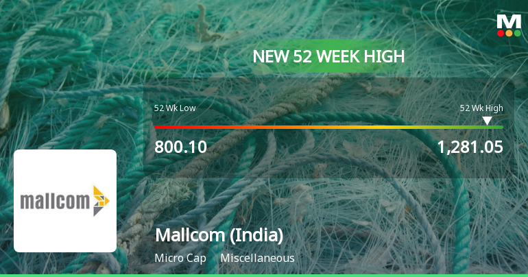 Mallcom (India) Ltd Hits 52-Week High and Shows Steady Gr...