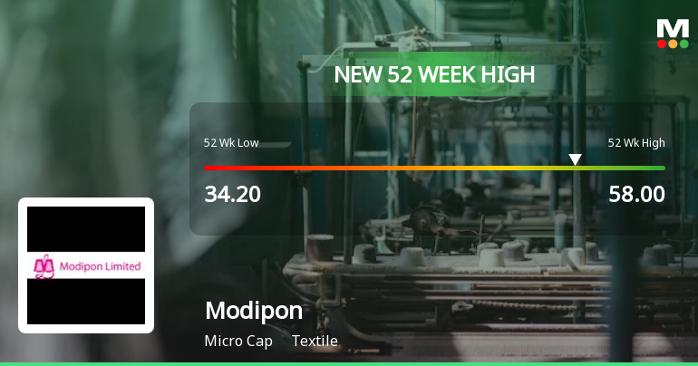 Modipon's Stock Reaches 52-Week High, Outperforms Sector and Shows ...