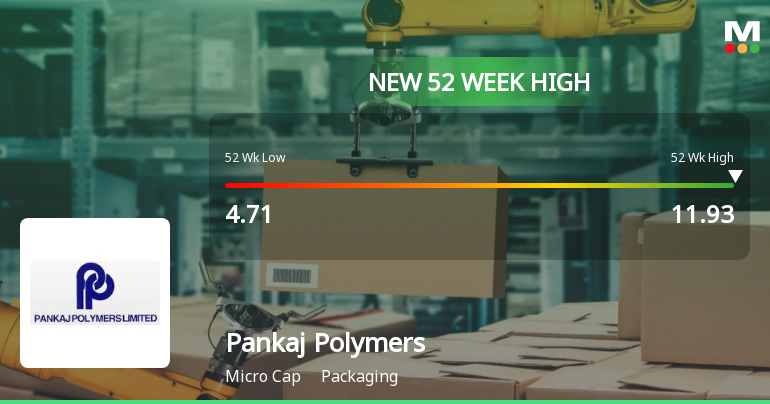 Pankaj Polymers' Stock Surges to 52-Week High, Outperforming Sector and Sensex
