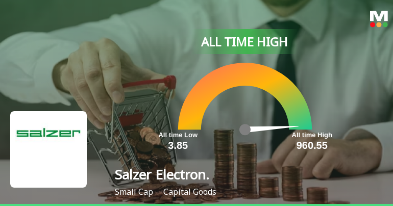 Salzer Electronics' Stock Reaches All-Time High, Showing Strong ...