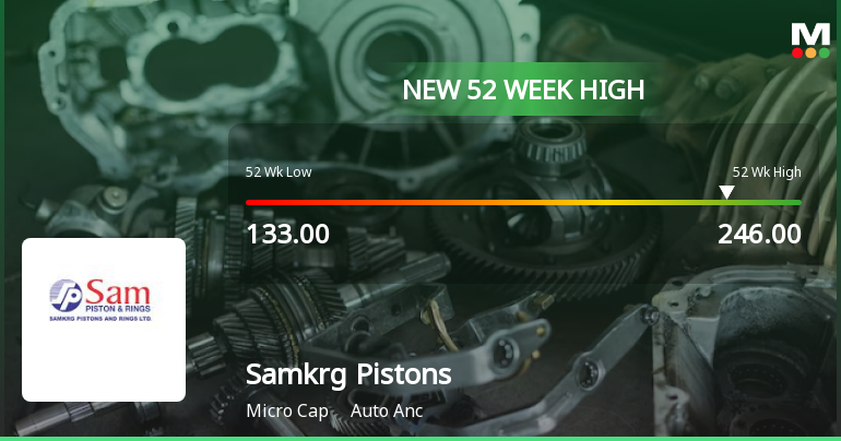 Samkrg Pistons & Rings Ltd Surges in Stock Market, Outperforms Sector ...
