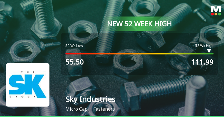 Sky Industries' Stock Hits 52-Week High, Outperforms Sector and Sensex