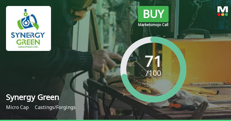 Synergy Green Industries Receives 'Buy' Rating for Strong Financial ...