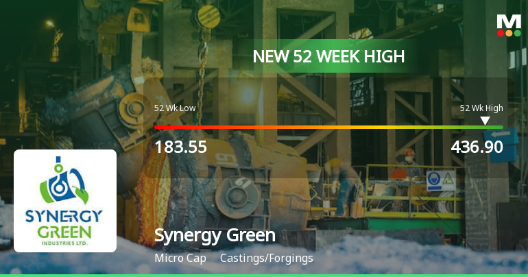 Synergy Green Industries' Stock Reaches All-Time High, Outperforms ...