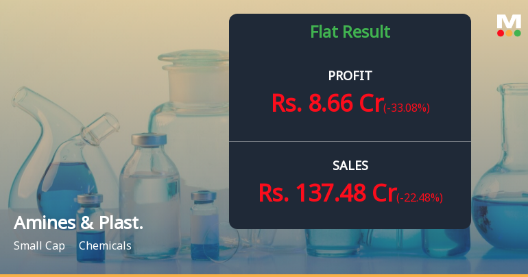 Amines & Plasticizers reports mixed financial results for Q1 FY25