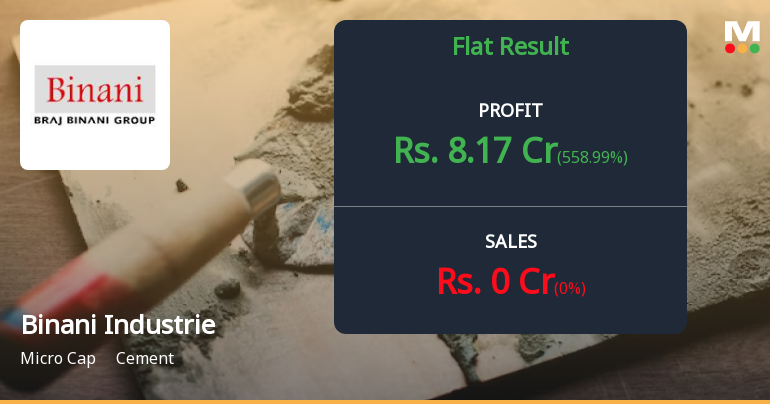 Binani Industries Reports Flat Performance in Q1, But Sho...