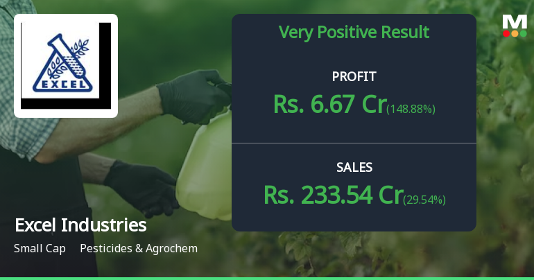 Excel Industries' Q4 financials show mixed results, with ...