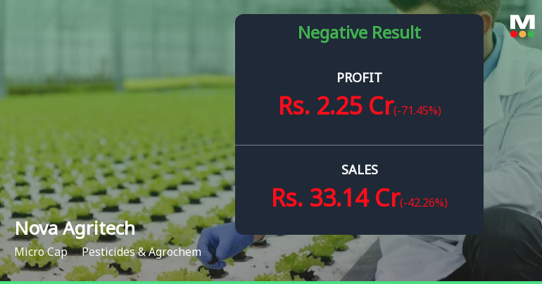 Nova Agritech's Q1 FY25 Financial Results Show Negative Performance ...