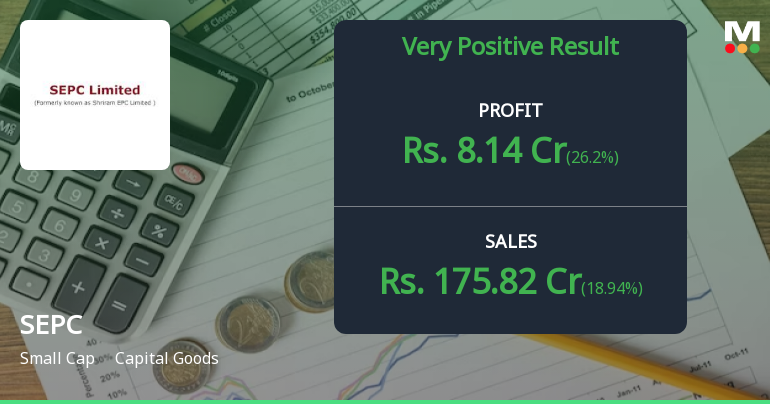 SEPC's Q1 FY25 financials show mixed results, with positive trends in ...