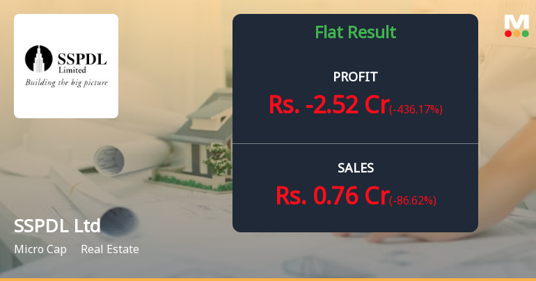 SSPDL Ltd's Financial Report Shows Decline in Performance, Negative Outlook for Investors