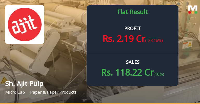 Shree Ajit Pulp and Paper Shows Positive Growth, But Red Flags for ...