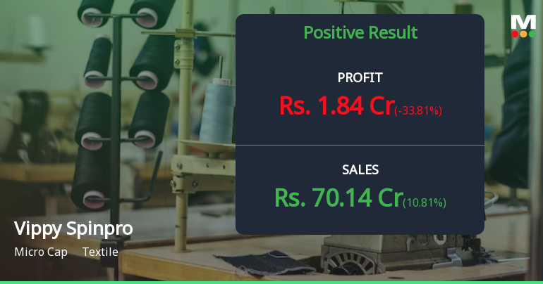 Vippy Spinpro Reports Strong Financial Performance in Q1 FY25 ...