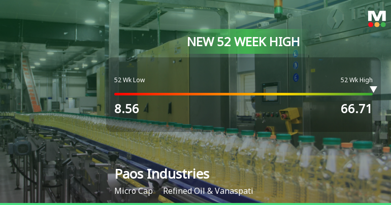 Paos Industries' Stock Reaches 52-Week High, Outperforming Sector and Showing Impressive Growth