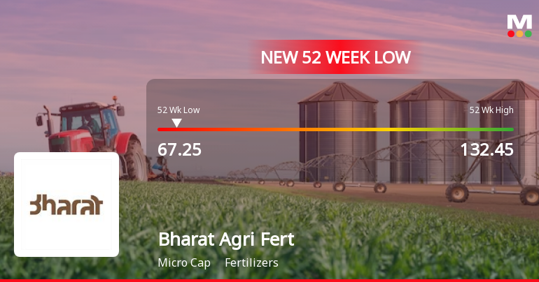 Bharat Agri Fert & Realty Experiences Revision in Stock Evaluation Amid ...