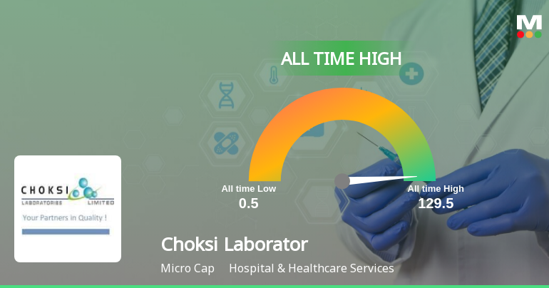 Choksi Laboratories Achieves All-Time High Stock Price Amid Strong ...