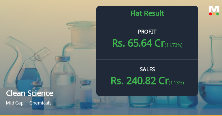 Clean Science & Technology Reports Record Sales Amid Inventory and ...