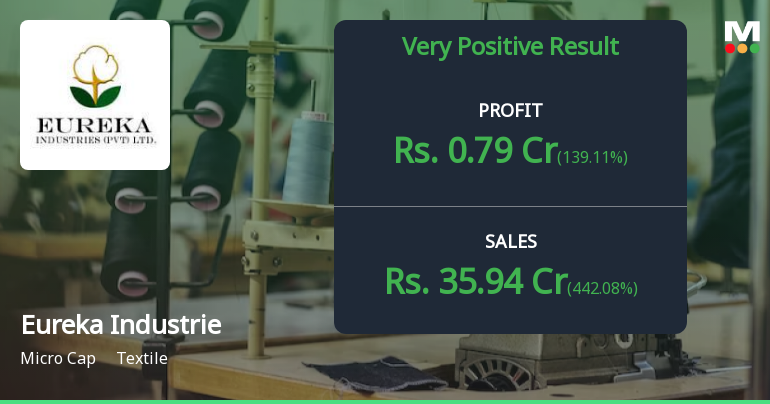 Eureka Industries Reports Strong Q3 Growth and Profitability for FY 2024-25