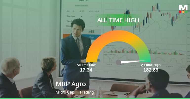 MRP Agro Achieves New 52-Week High Amid Strong Market Performance Trends