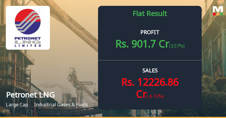 Petronet LNG Reports Flat Q3 FY24-25 Results Amid Mixed Financial Indicators