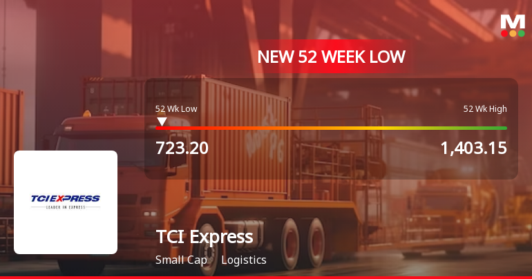 TCI Express Faces Ongoing Challenges Amid Significant Stock Volatility ...