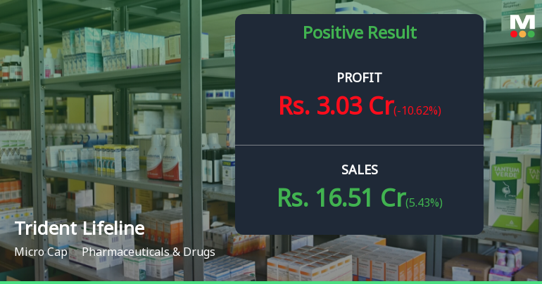 Trident Lifeline Reports Strong Q3 FY24-25 Results, Signaling Growth in ...
