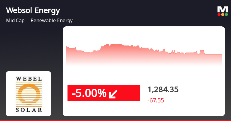 Websol Energy System Faces Significant Decline Amidst Broader Renewable Sector Gains