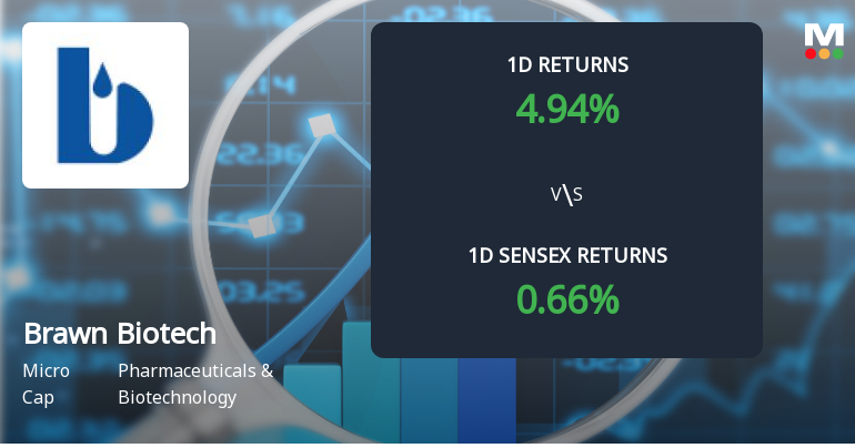 Brawn Biotech Ltd Surges 4.94% Today, Marking 10.22% Weekly Gain Amid ...