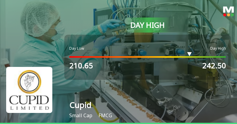 Cupid Ltd Hits Day High of Rs 232.75 with Strong Intraday...